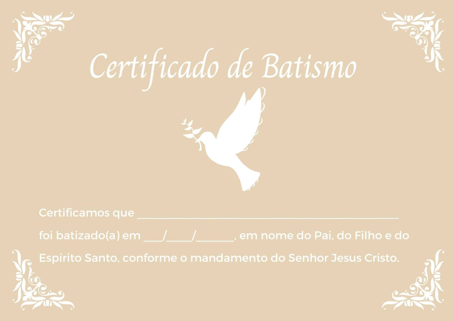 Pr D Barbosa Modelo De Certificado De Batismos - vrogue.co Pr D Barbosa Modelo De Certificado De Batismos - vrogue.co